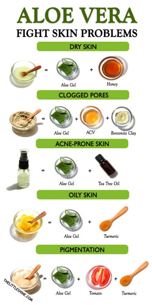 ALOE VERA TO TREAT VARIOUS SKIN PROBLEMS - The Little Shine