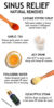 Best Natural Remedies For Sinus Relief The Little Shine
