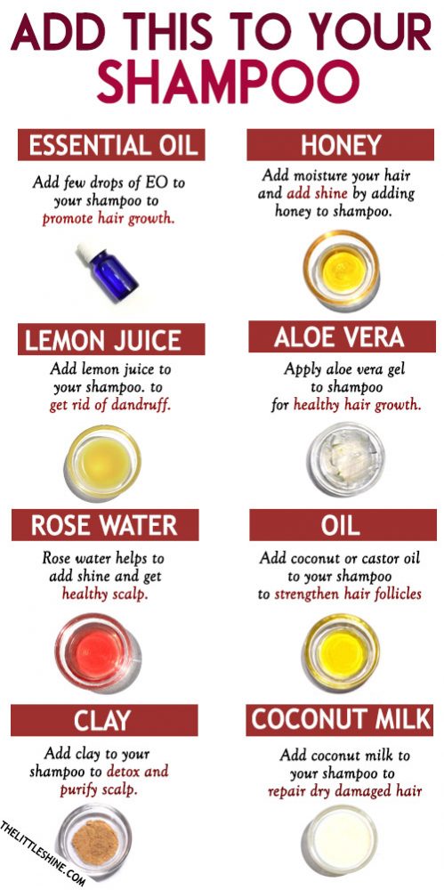 THINGS TO ADD TO YOUR SHAMPOO FOR HEALTHY HAIR GROWTH - The Little Shine