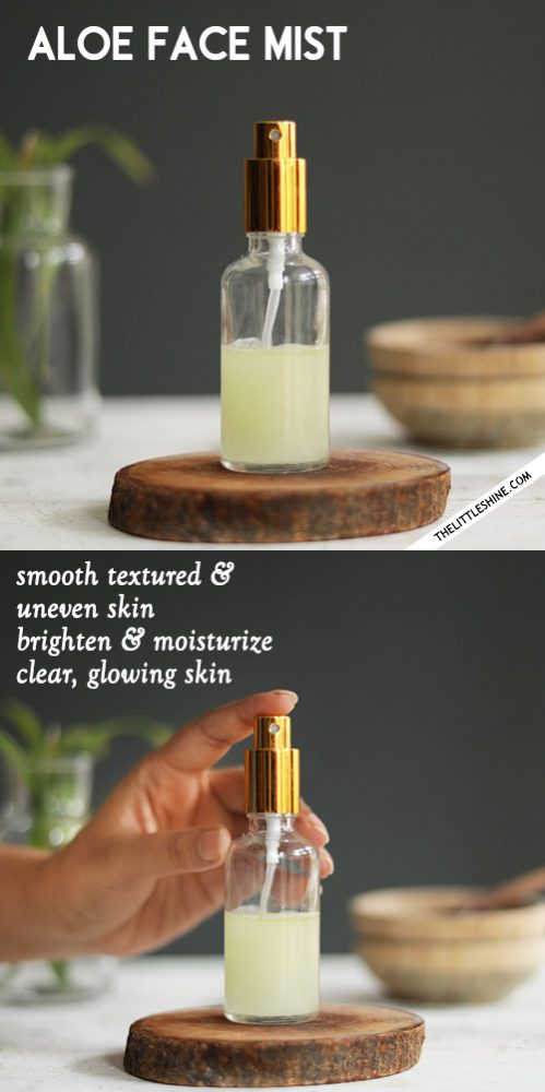 ALOE SKIN CLEARING FACE MIST - The Little Shine