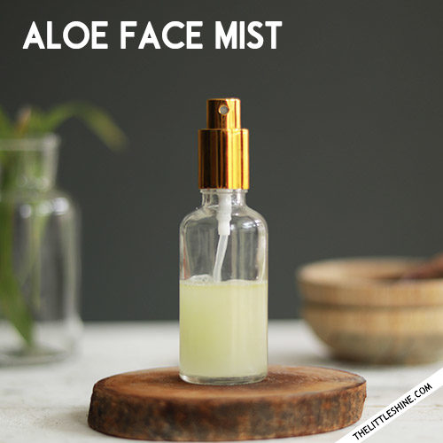 HAIR THICKENING SPRAY – stop hair fall and regrow thinning hair – The ...