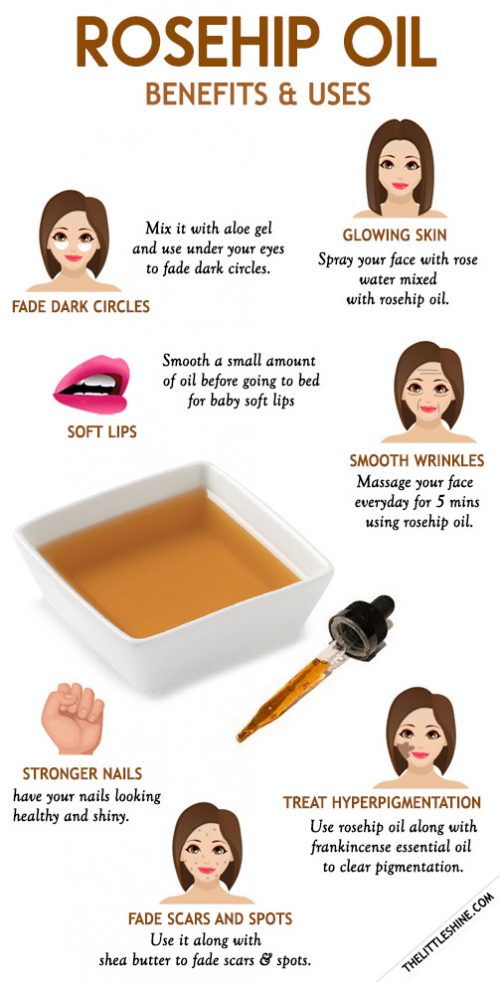 Top 10 Rosehip seed oil benefits and uses - The Little Shine