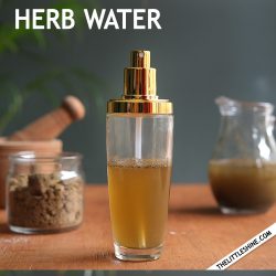 CHIA WATER RECIPE and BENEFITS - The Little Shine