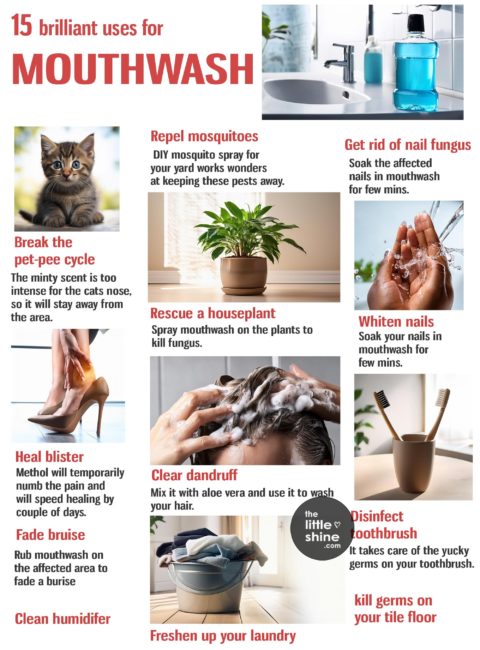 20 BEST LIFE HACKS EVERYONE SHOULD KNOW - The Little Shine