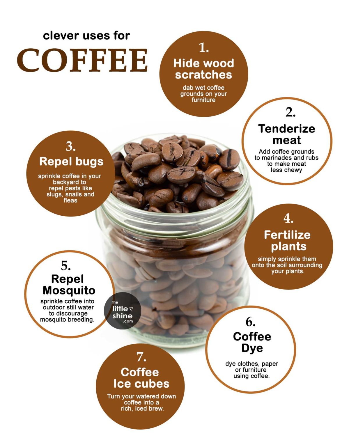 Amazing ways to use coffee and coffee grounds - The Little Shine