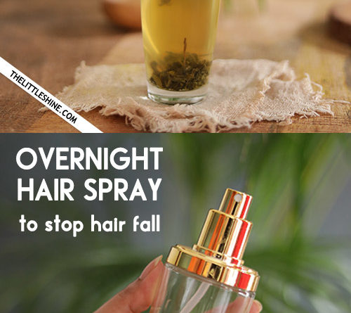 OVERNIGHT HAIR SPRAY to stop hair fall - The Little Shine