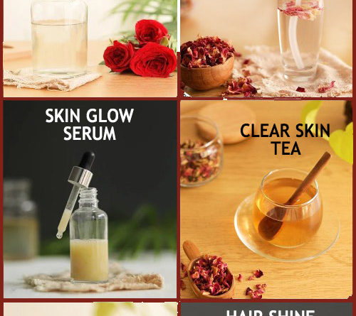 10 DIY ROSE PRODUCTS YOU CAN MAKE AT HOME - The Little Shine