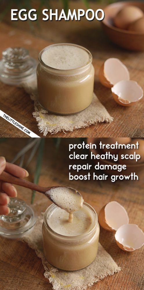 EGG PROTEIN SHAMPOO for stronger and healthy hair - The Little Shine