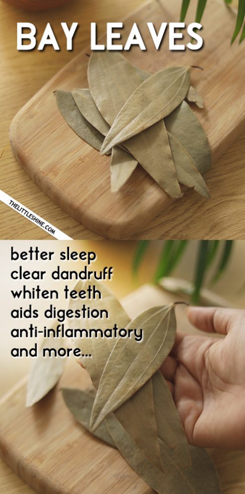 BAY LEAVES BENEFITS, REMEDIES AND USES - The Little Shine
