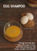 Egg For longer, stronger and healthier hair - The Little Shine