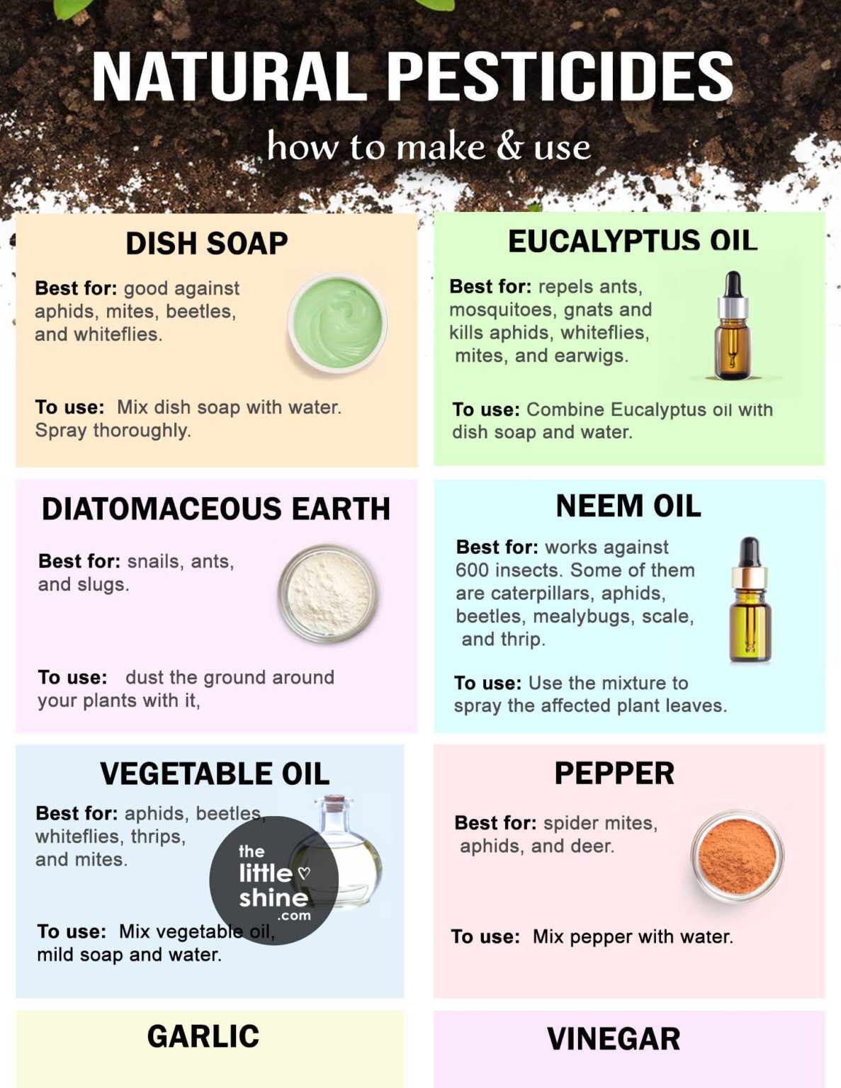 8 Natural Pesticides for Your Garden you can make at home - The Little ...
