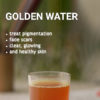 GOLDEN WATER FOR CLEAR GLOWING SKIN - The Little Shine