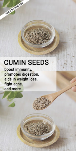 CUMIN SEEDS BENEFITS AND USES - The Little Shine