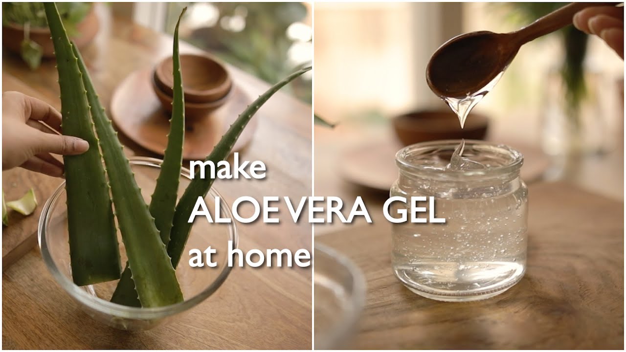 VIDEO - How to make aloe vera gel at home - The Little Shine