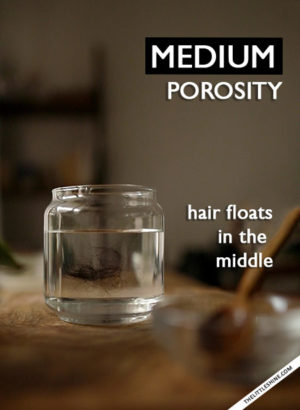 YOUR GUIDE TO MEDIUM POROSITY HAIR - The Little Shine
