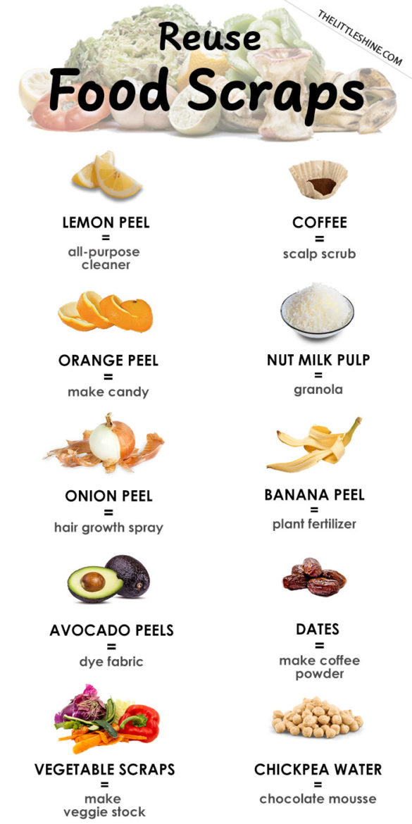 15 CLEVER HACKS TO USE FOOD SCRAPS - The Little Shine