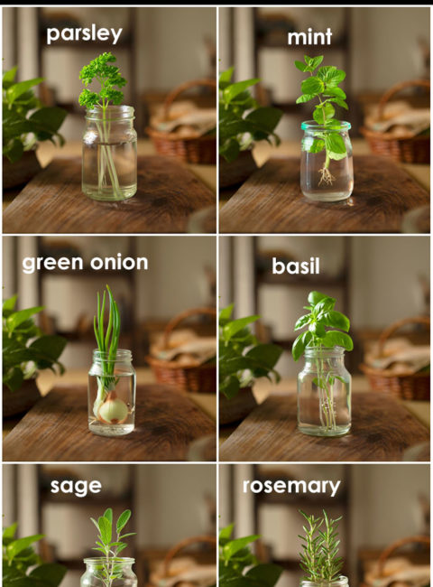 20 BEST LIFE HACKS EVERYONE SHOULD KNOW - The Little Shine