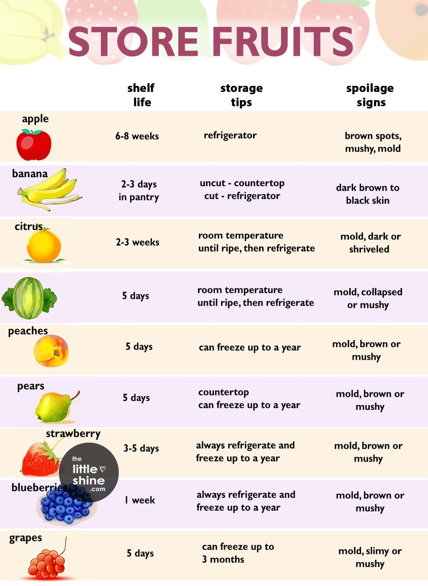 How to Store Fruits Correctly - The Little Shine