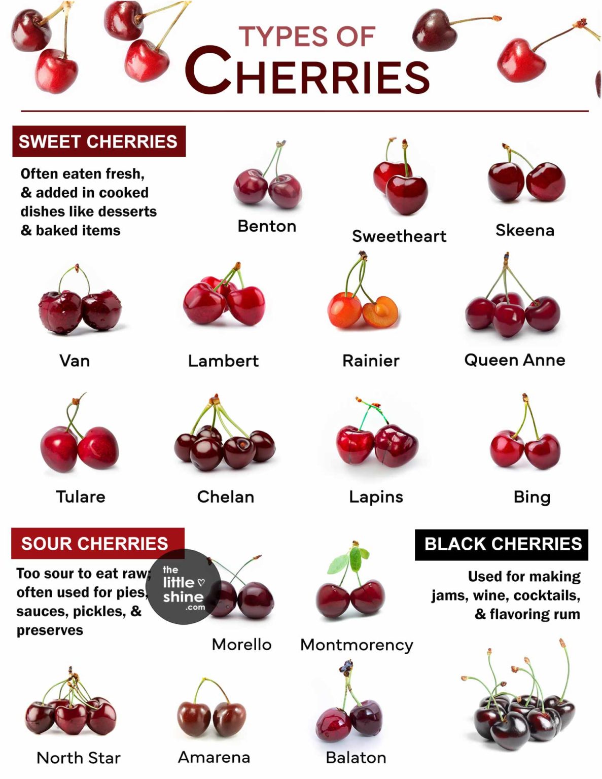 17 Types of Cherry - Uses and Benefits - The Little Shine