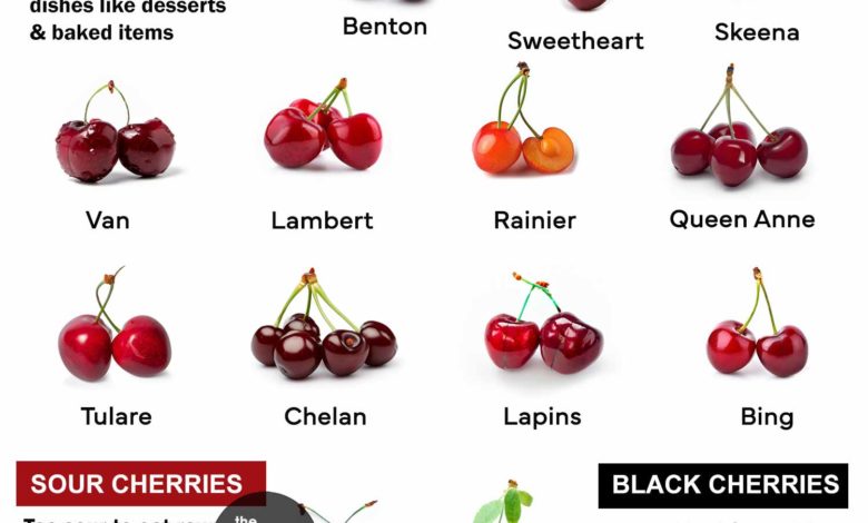 TYPES Archives - The Little Shine