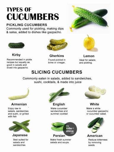 10 Types of Cucumbers and How to Use Them - The Little Shine