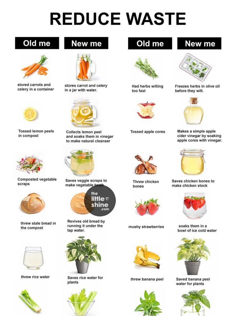 30 Ways to Reduce Waste Effectively - The Little Shine