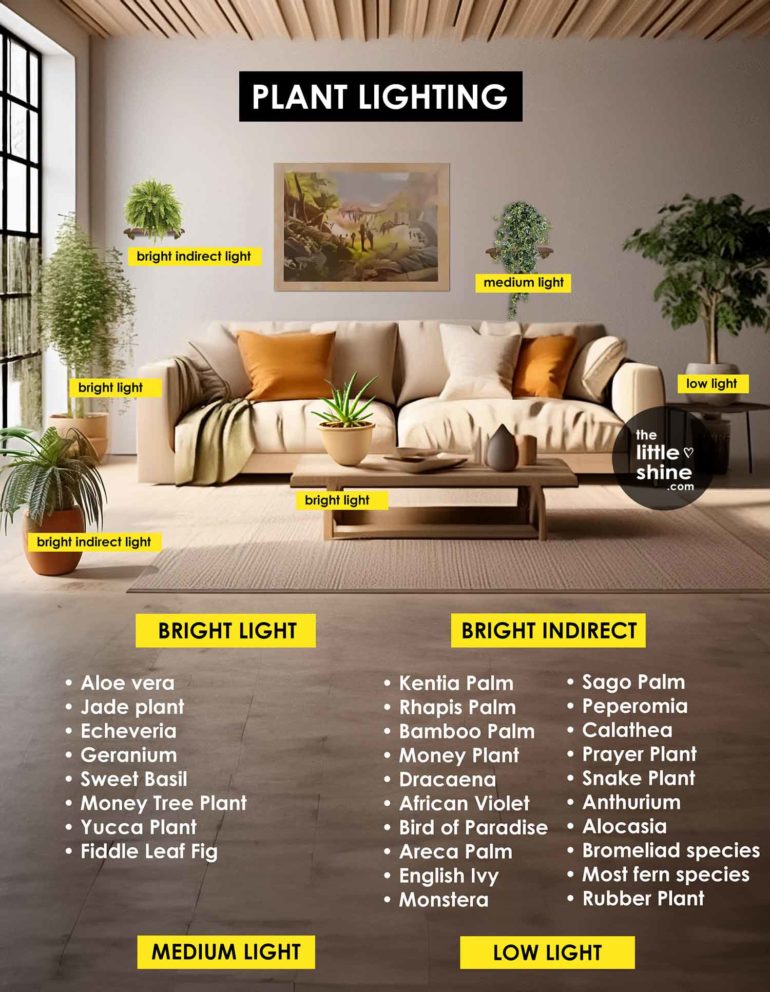 Guide to Indoor Plant Lighting - The Little Shine