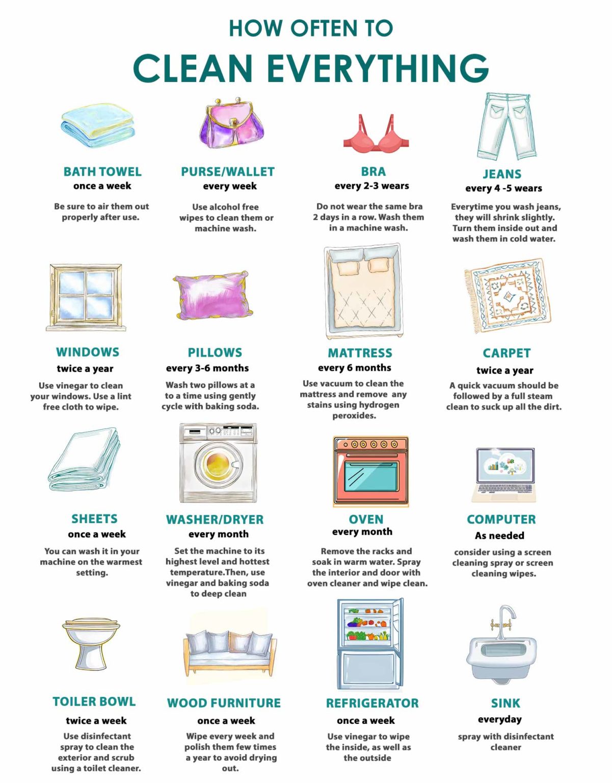 How Often Should You clean everything - The Little Shine