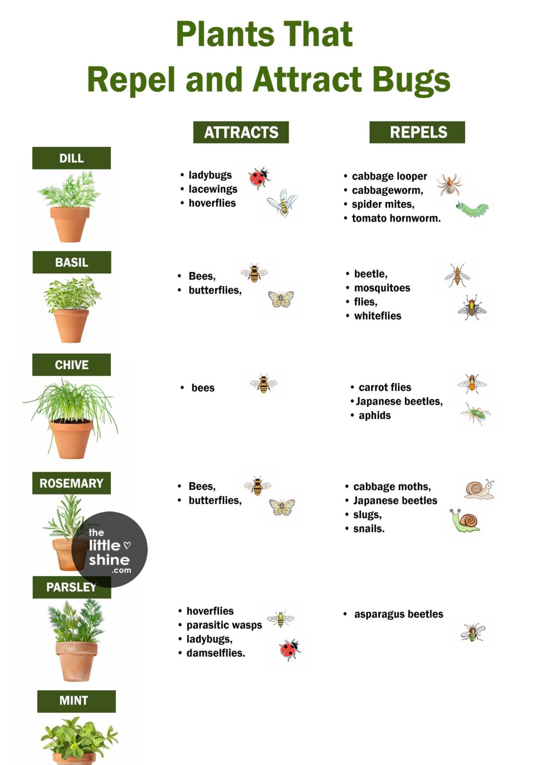 8 Herbs That Attract and Repel Bugs - The Little Shine