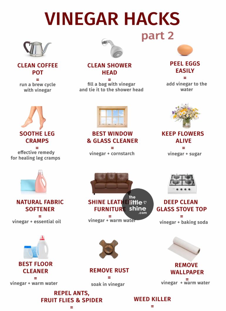 Vinegar Hacks - Part 2 - The Little Shine