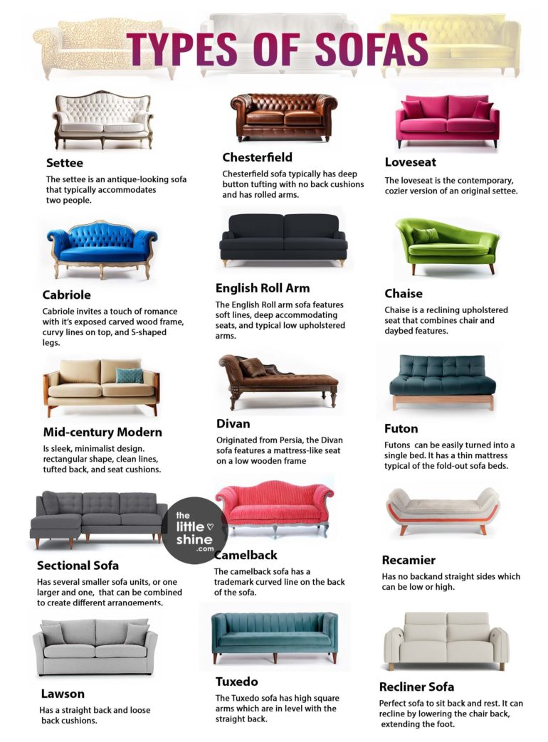 20 Different Types of Sofas Explained - The Little Shine