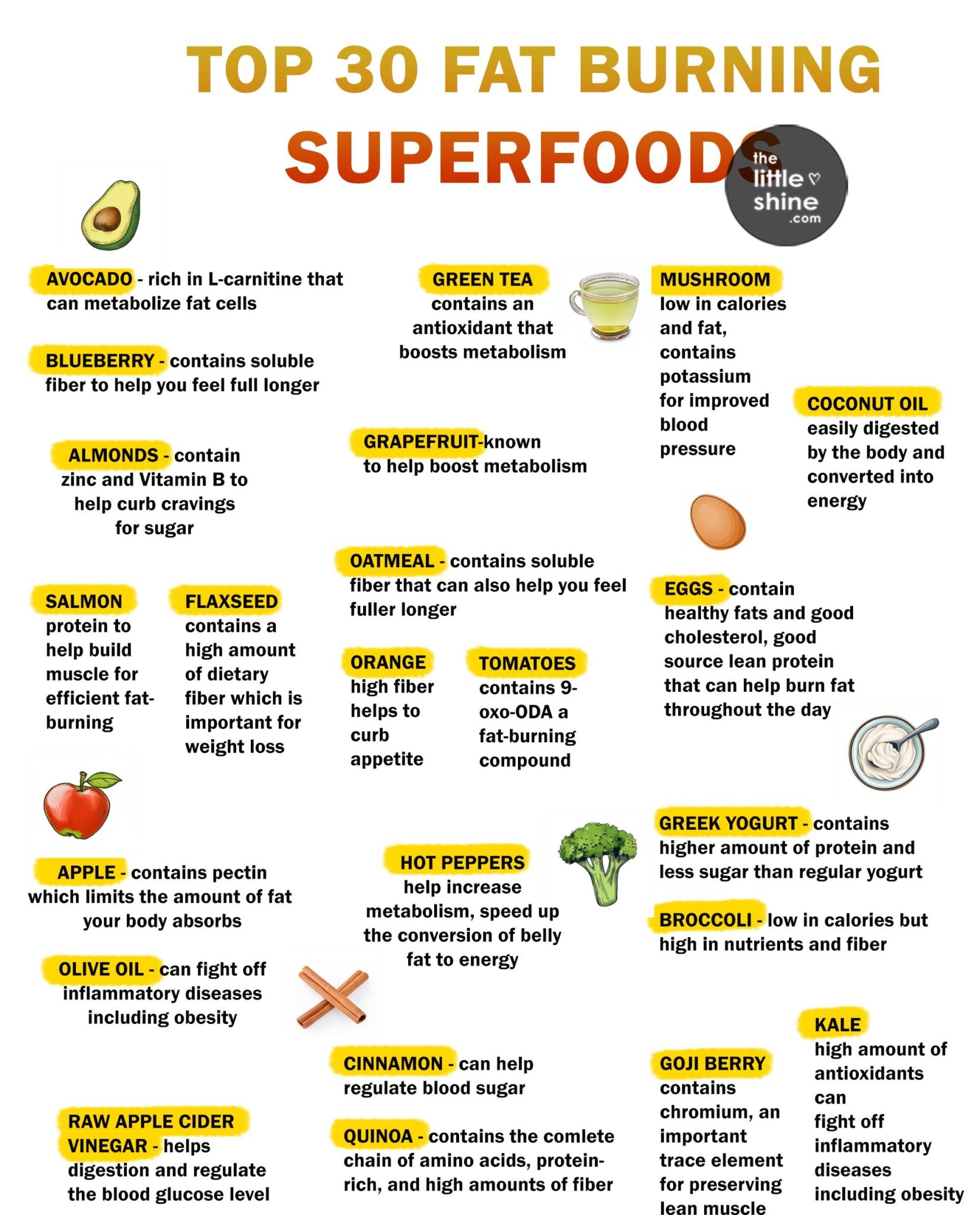 Top Best 30 Fat Burning Superfoods - The Little Shine