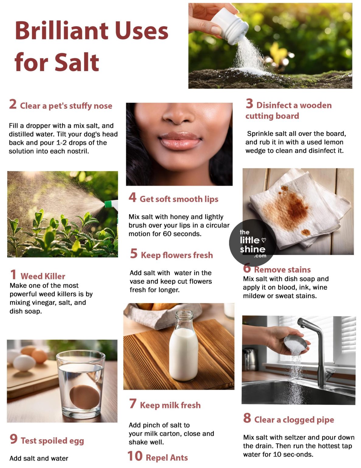 10 Best Uses of Salt - The Little Shine