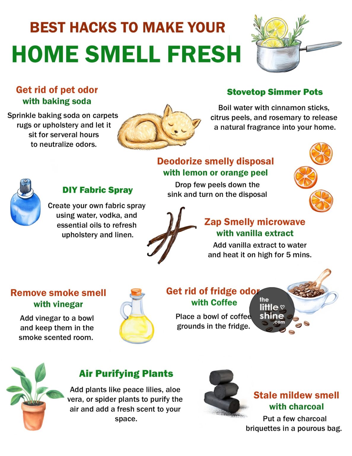 How to Keep Your House Smelling Fresh All the Time - The Little Shine