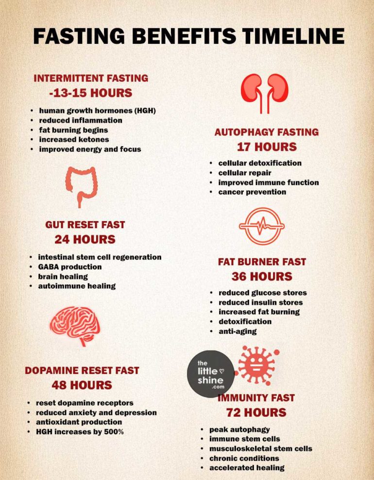 Benefits of Fasting| Hour-wise Benefits - The Little Shine