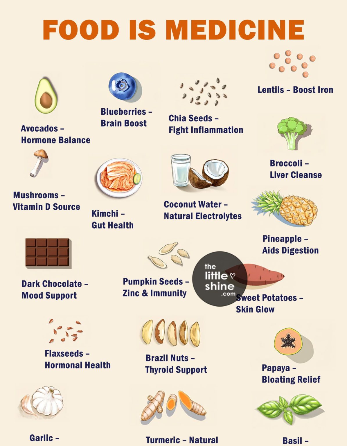 Understanding Circadian Rhythm: Your Body’s Internal Clock - The Little ...