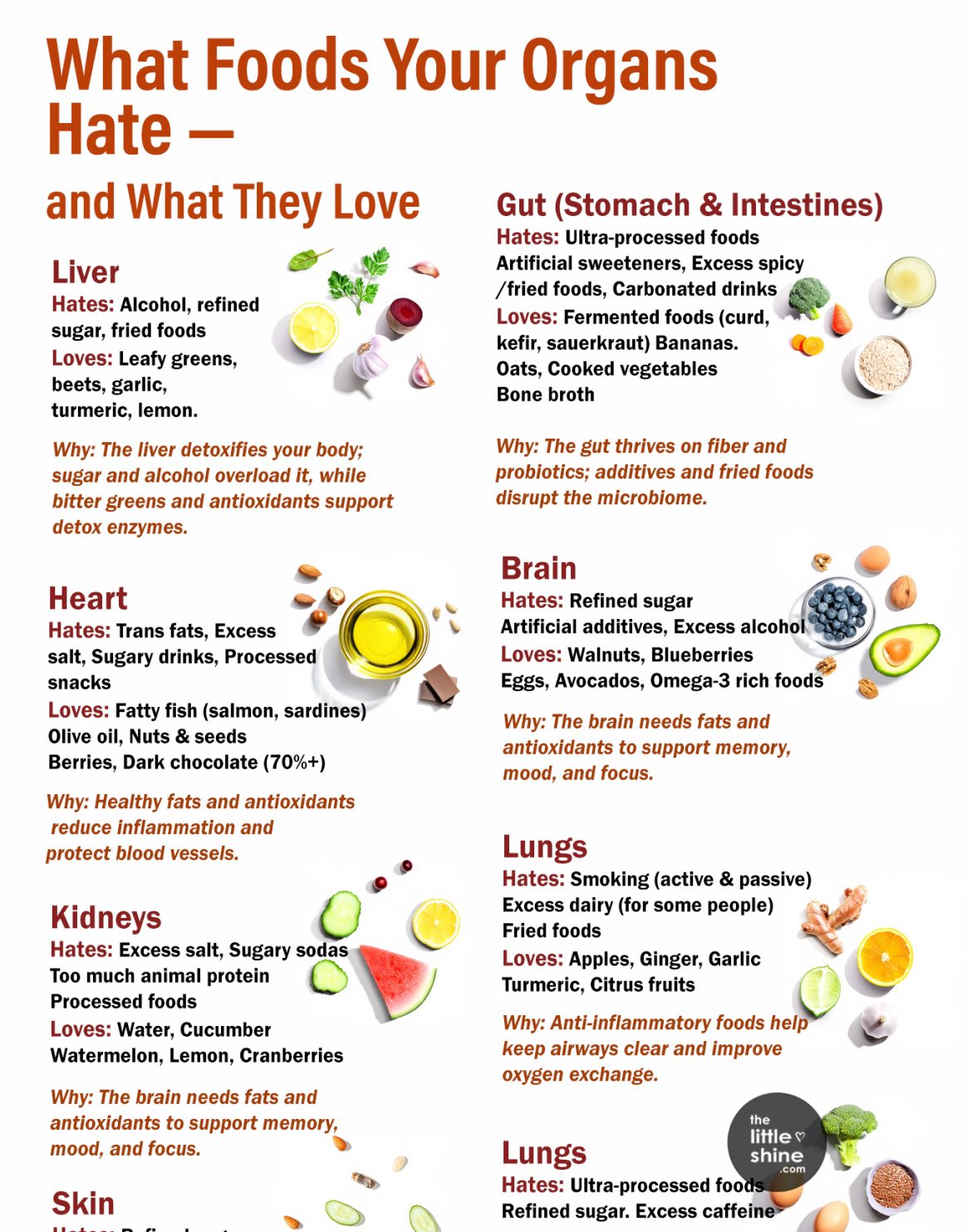 What Foods Your Organs Hate — and What They Love Instead - The Little Shine